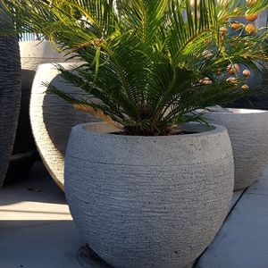Pots & Urns