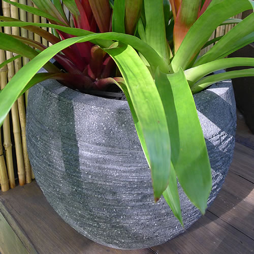 Gentong Pot Charcoal