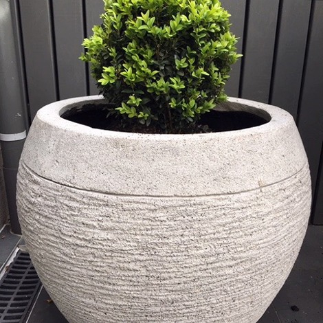 Gentong Pot Natural