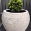 Gentong Pot Natural