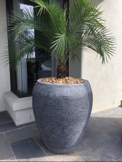 Gentong Pot Charcoal