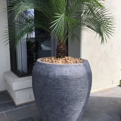 Gentong Pot Charcoal